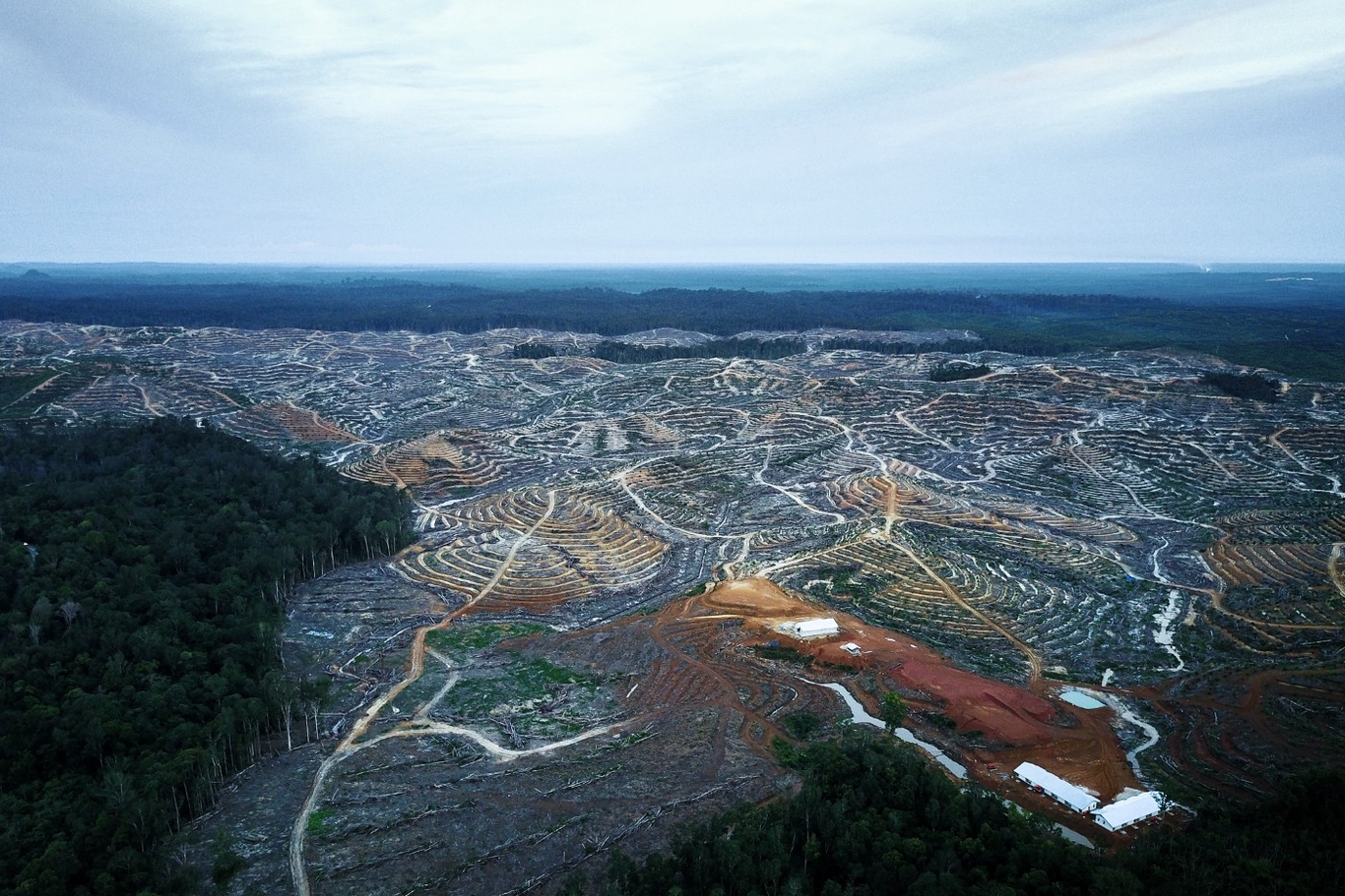 The Gecko Project | The Gecko Project