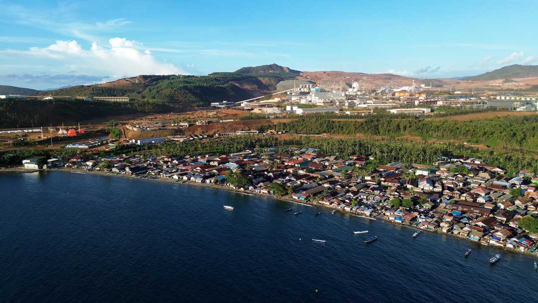 The Gecko Project | The Gecko Project